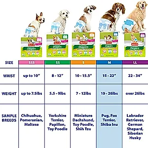 Disposable Dog Diapers with FlashDry Gel Technology - M, 32 Count