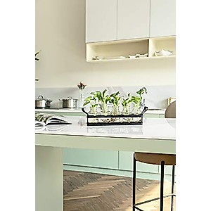 Mkono Plant Terrarium with Metal Stand, Retro Glass Planter Tabletop Flower Vase Perfect for Propagating Hydroponic Plants Flower Cutting Cute DIY Centerpiece Home Office Garden Decor, 5 Bottle