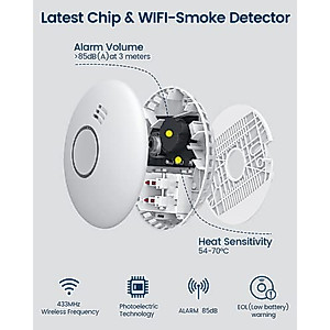 Ecoey WiFi Smoke Detector, WiFi Smoke Alarm with Photoelectric Technology and LED, Smoke Alarm with Test&Silence Function and Low Battery Warning for Home (Not 5G), TUYA APP, FJ158D-H04, 2 Packs