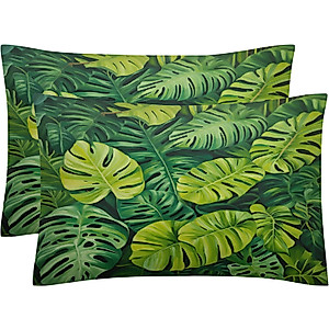 OmErsa Monstera Duvet Cover California King Size Bedding Set 3 PCS, Tropical Botanical Comforter Cover & 2 Pillowcases Soft Microfiber Patterned Bedroom Decorations for Adults Teens