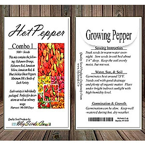 BIG PACK - (500+ Seeds) Hot Pepper Combo I - Bhut Jolokia Ghost Pepper, Habanero Orange, Habanero Red, Jamaican Yellow, Jamaican Red Pepper Seeds- Non-GMO Seeds by MySeeds.Co (BIG PACK - Hot Pepper I)