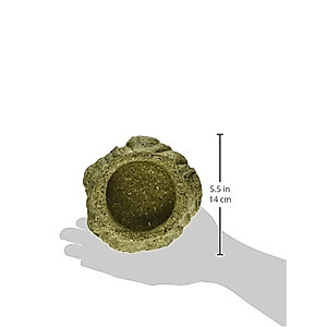 Kaytee Premium Timothy Hay Chew-A-Bowl for Rabbits, Guinea Pigs, and Chinchillas