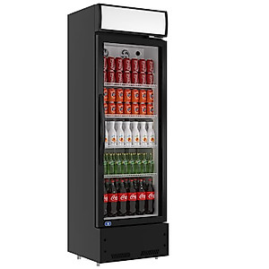 Dvasovio 23" W Refrigerator with Glass Doors, Commercial Upright Refrigerator Display Cooler with LED Lighting, Adjustable Shelves for Beverages, Beer, and Drinks