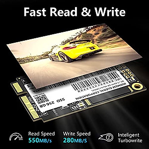 INDMEM mSATA SSD 256GB Internal Mini SATA III SSD Micro-SATA TLC 3D NAND Flash 256 GB