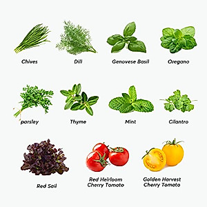 Seed Pods for Hydroponics Growing System - (No Seeds), Hydroponics Supplies with 24 Grow Sponges, 12 Planting pods,2 Set a&b Hydroponic Nutrient Plant Food,28 Stickers,12 Seeding Cover, Total 76 Pcs