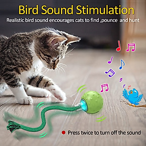 Interactive Cat Toys for Bored Indoor Adult Cats, Automatic Fast Move On Carpet, Bird Chirping & Motion Activated Cat Ball