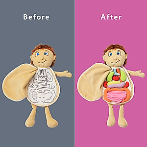 Organ Toy for Kids, Human Body Anatomy Awareness Teaching Tools, Preschool Educational Organ Plush Toys, Science Learning Kits for Home School Teaching Aids (Organ Toys)