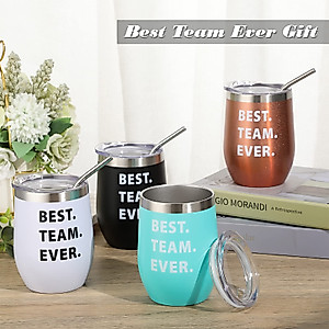 Pinkunn 8 Pcs Best Team Ever Tumblers Thank You Employee Appreciation Gifts Stainless Steel Insulated Wine Tumbler Christmas Team Gifts with Lid and Straw for Coworkers Women Men, 12 oz(Black)