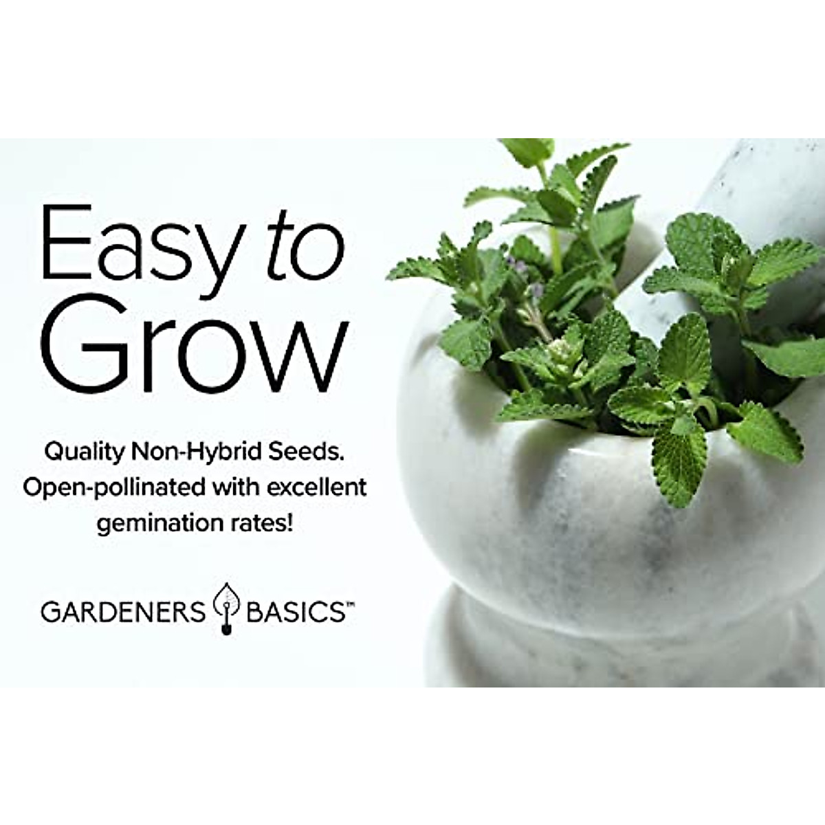 35 Herb Seeds for Planting Varieties Heirloom Non-GMO Seeds Indoors, Hydroponics, Outdoors - Basil, Lavender, Catnip, Cilantro, Oregano, Parsley, Peppermint, Rosemary and More by Gardeners Basics