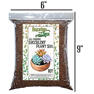 Succulent Plant Soil, Natural All-Purpose Cactus, Aloe Vera, and Succulent Potting Soil, 1 Quart Sized Bag, Premium Fast Draining Mix
