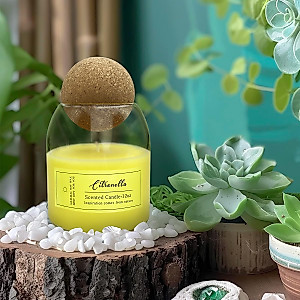 Citronella Candle for Outdoor or Indoor, Glass Jar Candle with Ball Cork Lid, 12oz Lemongrass Candles with Natural Essential Oils & Soy Wax, Smokeless, Non-Toxic