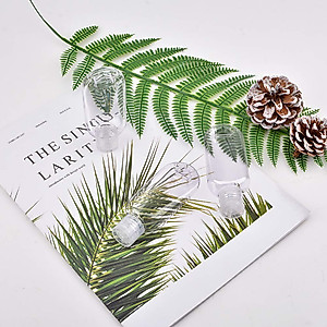 WANDIC Travel Bottles, Set of 6 Clear Plastic Refillable Travel Containers with Clips Liquid Containers with Hook for Shampoo and Toiletries, 50ml