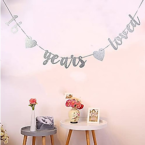 StarsGarden Glitter 16 Years Loved Banner – It's My Fabulous 16th Banner -16th Birthday Banner Decorations - Cheers to 16 Years Milestone Happy Birthday Decorations(Silver) (SG-22NP454)