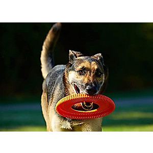 Chuckit Rugged Flyer Dog Toy, Medium, Assorted Colors