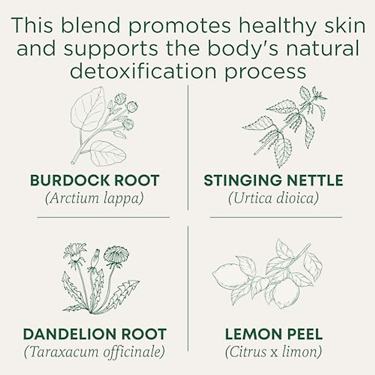 Traditional Medicinals Tea, Organic EveryDay Detox Lemon, Supports Healthy Skin & Liver Function, Detox, 96 Tea Bags (6 Pack)