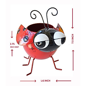GIFTME 5 Succulent Planter,Metal Pot for Plants,Indoor or Outdoor Decorations Planter with Drainage(7.5Inch,1piece Ladybug Planter)