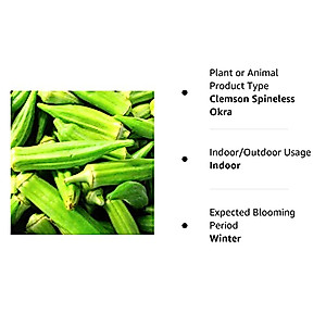 100 Clemson Spineless Okra Seeds | Non-GMO | Fresh Garden Seeds