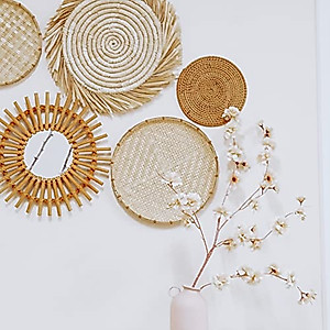 Wall Basket Decor Set of 10 - Hanging Woven Wall Baskets Decorative Seagrass - Farmhouse Wall Decor Kitchen Boho Handcrafted & Unique Wicker Wall Art Decor for Living Room, Dining Room, Bed Room