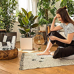 LECHUZA-PON Plant Substrate, 18 Liter Bag of Potting Mix for Indoor Gardening