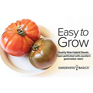 Cherokee Purple Tomato Seeds for Planting Heirloom Non-GMO Seeds for Home Garden Vegetables Makes a Great Gift for Gardening by Gardeners Basics