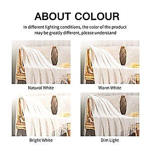 SPAOMY Throw Blanket, Knit Blanket with Tassels, Textured Cozy Lightweight Decorative Throw Blanket for Couch, Bed, Sofa, Travel- All Seasons (50x60 Inch, Beige)