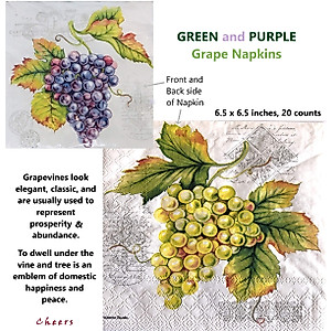 20-ct 13x13 Purple Grape Napkins Decoupage Napkins Luncheon Cocktail Paper Napkins Decorative Paper Napkins for Dessert Birthday Wedding Anniversary Dinner Napkins Paper for ALL Seasons Mom Dad Artist