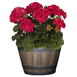 Classic Home and Garden S74D-037R Whiskey Barrel, 9", Kentucky Walnut