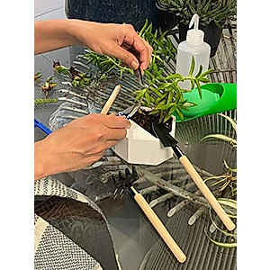 Succulent Kit Roll Organizer Gardening Tool Set | Terrarium Supplies Mini Succulent Garden Tool Kit | Heavy Duty Succulent Bonsai Planter Set Indoor Gardening | Fairy Zen Kit for Soil Fertilizer Seeds