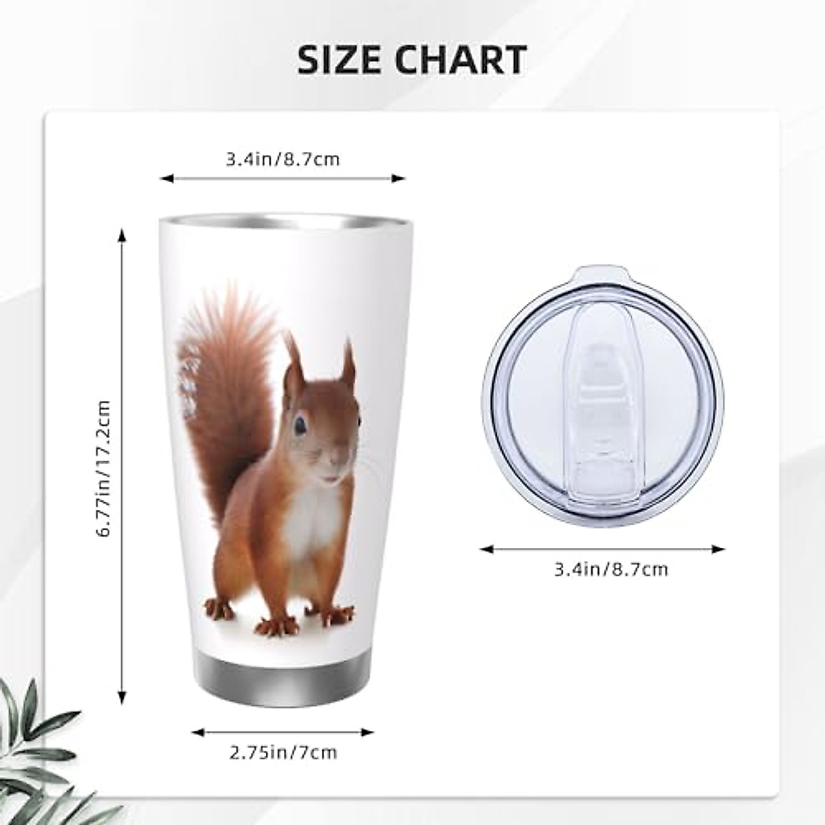 jshmgchw 3d Cute Squirrel 20oz Tumbler, Car Cup With Lid And Straw, Spill-Proof, Stainless Steel Double Wall Vacuum Insulated Reusable Coffee Travel Mug, For Cold Drinks, Hot Beverage