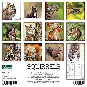 Squirrels 2021 Wall Calendar