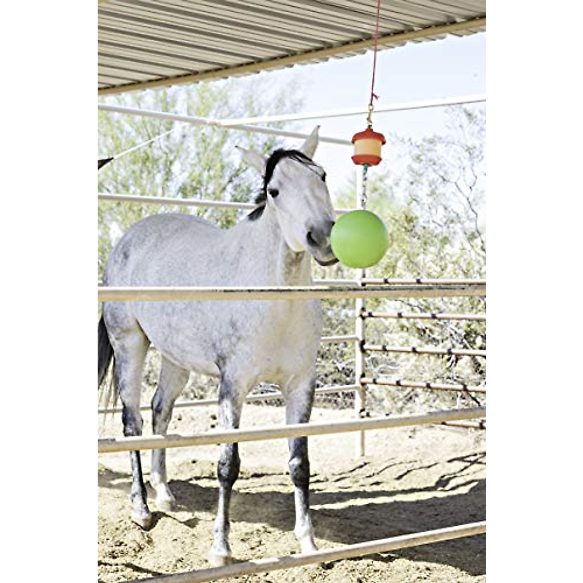 Horsemen's Pride Combo Horse Stall Toy: Apple Scented Jolly Ball and Apple Flavored Snack Holder (SS203)