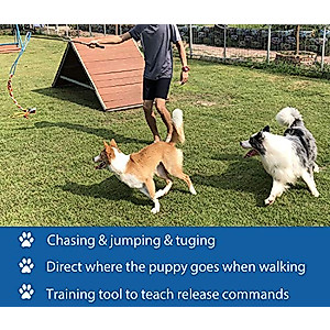 Interactive Flirt Pole Toy for Dogs Chase and Tug of War,Durable Teaser Wand with Pet Fleece Rope Tether Lure Toy to Outdoor Exercise & Training for Small Medium Large Dogs (Blue/Red, POLE-35 inches)