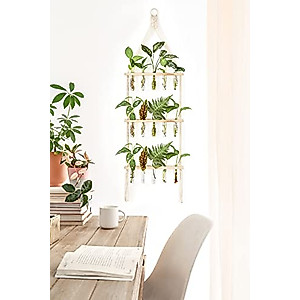 Mkono Macrame Plant Propagation Tubes, 3 Tier Boho Wall Hanging Plant Terrarium Vase Indoor Glass Planter for Propagating Hydroponic Houseplants Home Office Wall Plant Decor Gifts for Women