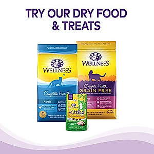 Wellness Complete Health Natural Grain Free Wet Canned Cat Food, Minced Salmon Entree, 3-Ounce Can (Pack of 24)