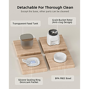 LAMPICK Smart Automatic Cat Feeder - WiFi Cat Food Dispenser with APP Control Up to 15 Portions((8g/Portion) 10 Meals Per Day, Dual Power Supply Pet Feeders for Cats/Dogs (4L/16.9 Cups)