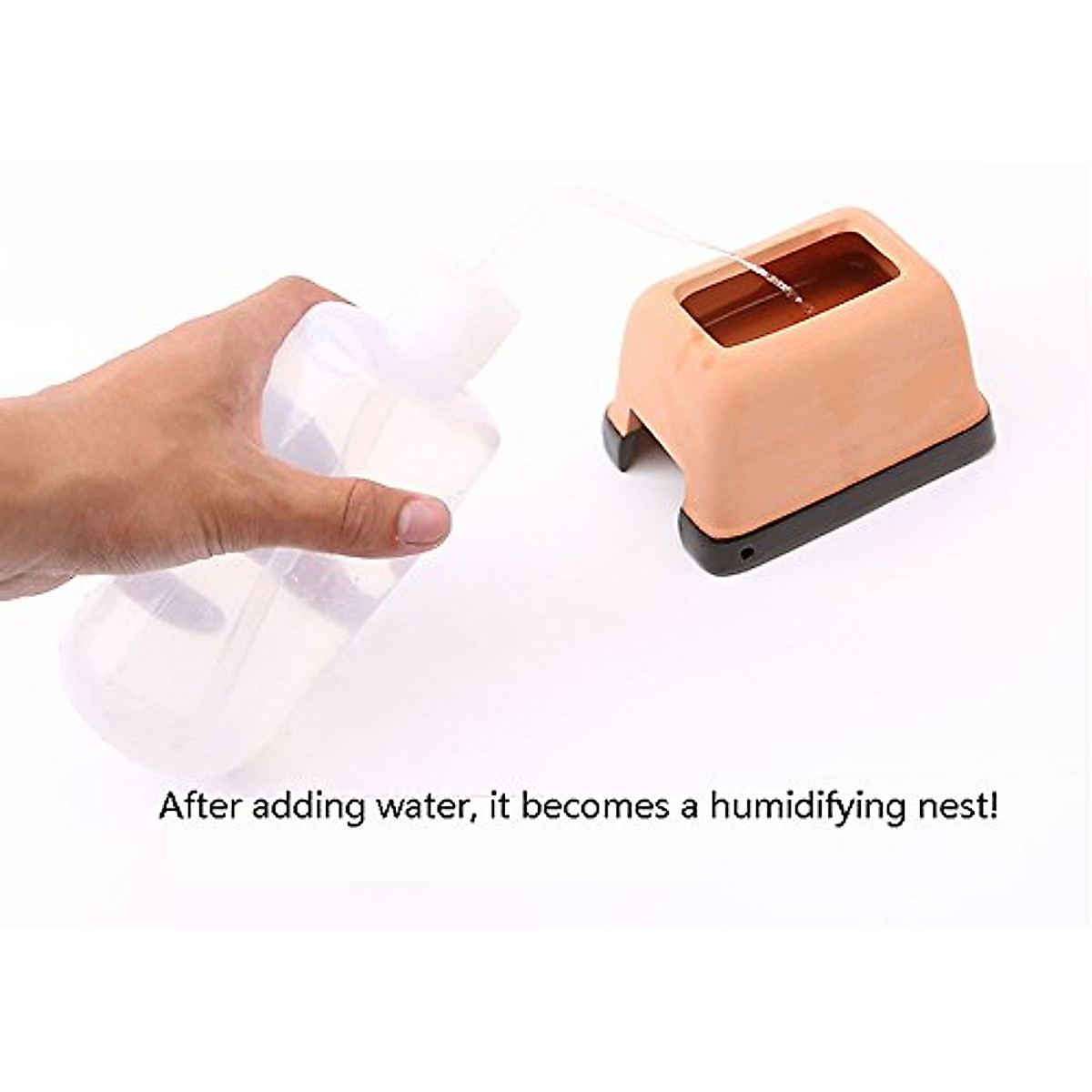 OMEM Reptiles Hideout Humidification Cave with Basin for Gecko (Large)