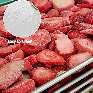 4 Pack Medium Silicone Freeze Dryer Mats for Harvest Right Freeze Dryer Tray Accessories