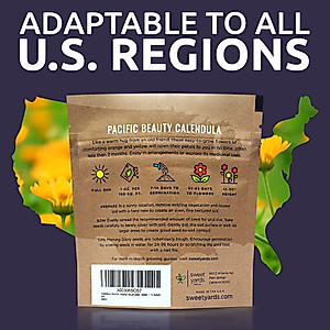 Calendula ‘Pacific Beauty Mix’ – Extra Large Packet – Over 3,000 Open Pollinated Non-GMO Wildflower Seeds – Calendula officinalis