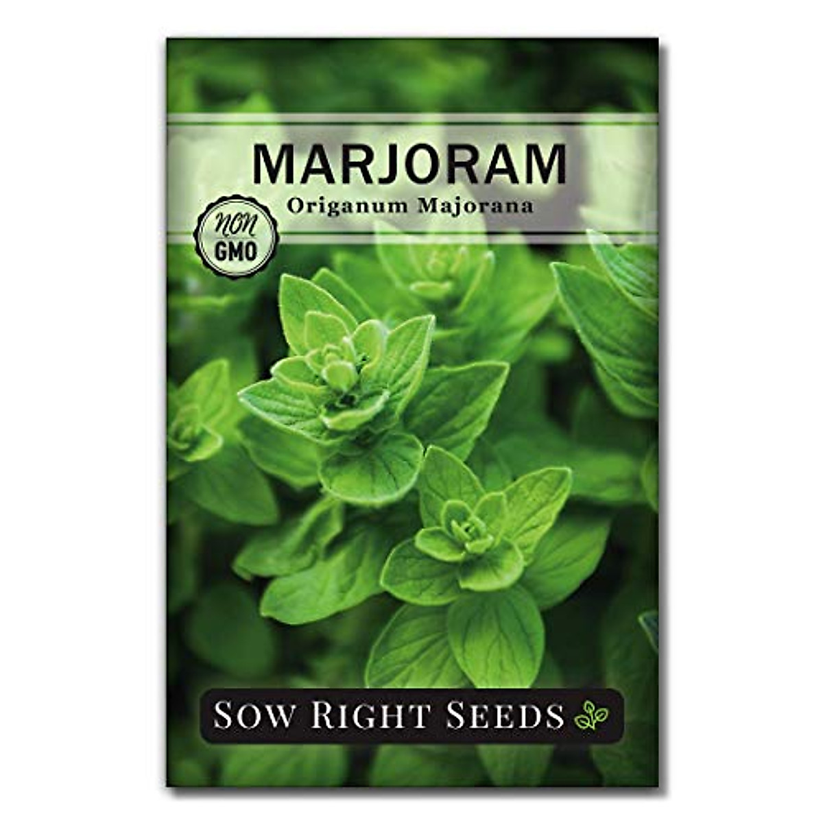 Sow Right Seeds - Herb Garden Seed Collection - Basil, Chives, Parsley, Cilantro, Oregano, Dill, Lavender, Marjoram, Sage & Thyme - Non GMO Heirloom - Instructions to Plant an Outdoor or Indoor Garden