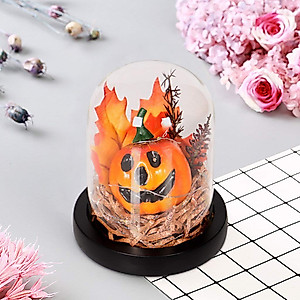 CCOOfhhc Halloween Pumpkin Lights,Glass Pumpkin Roses Halloween Smiley Pumpkin Shade Halloween Decoration