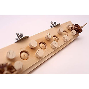 Woodberry - Medium Bolt-On Parrot Toy