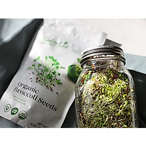 Organic Broccoli Seeds for Sprouting, 1 Pound – Non-GMO, Vegan, Kosher, Sirtfood, Bulk. Rich in Sulforaphane, Vitamin C. Grow Sprouts, Microgreens for Salads, and Sandwiches. High Germination Rate.