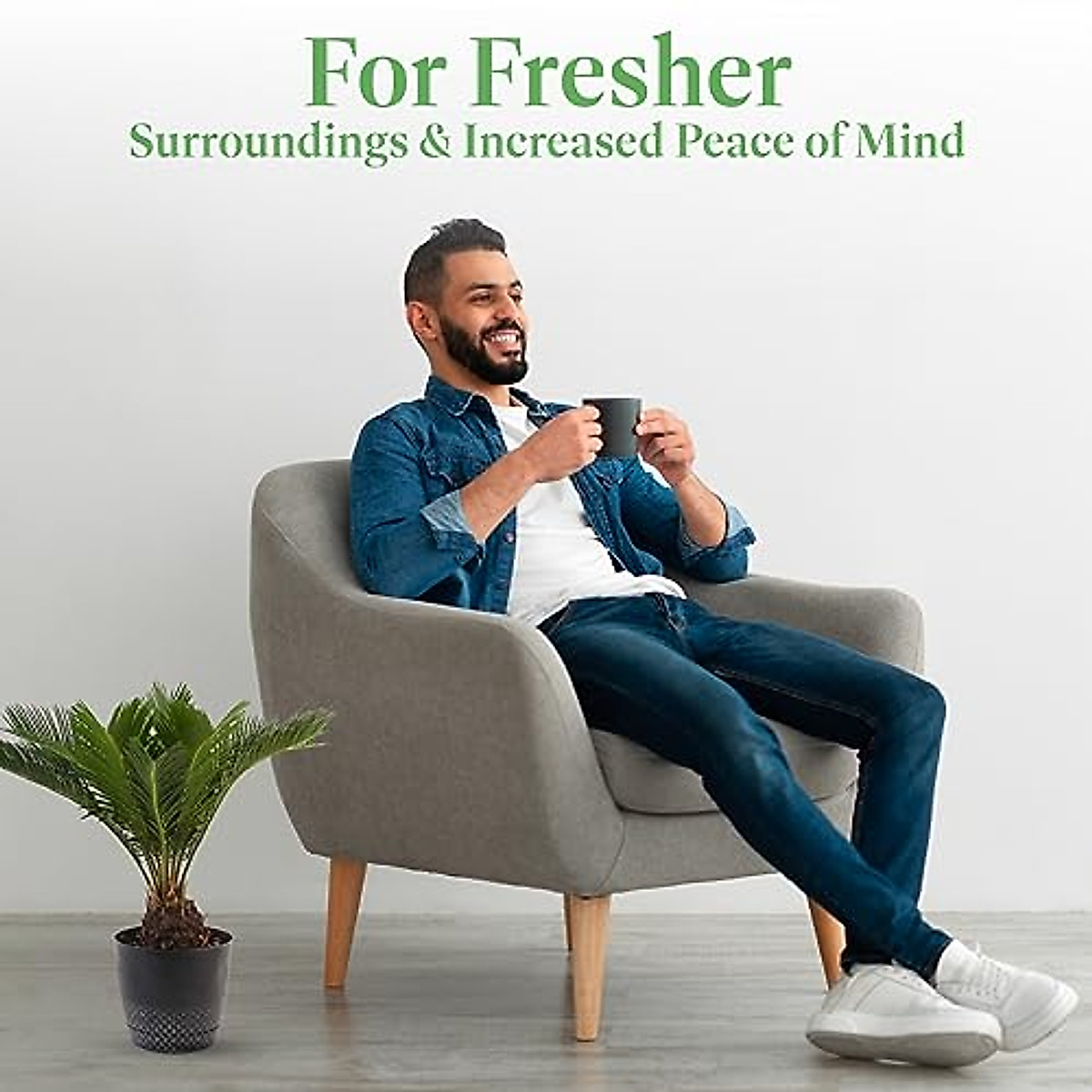 American Plant Exchange Live King Sago Palm Tree, Japanese Sago Palm Tree, Plant Pot for Home and Garden Decor, 6" Pot