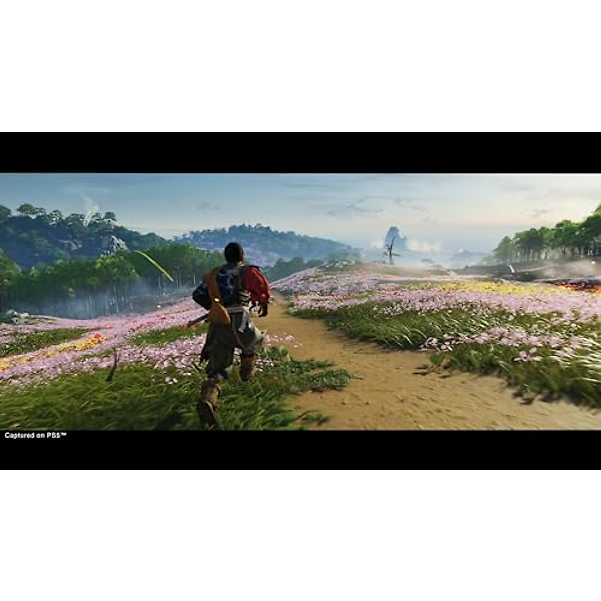 PlayStation, Ghost Of Tsushima Director's Cut (PS5)