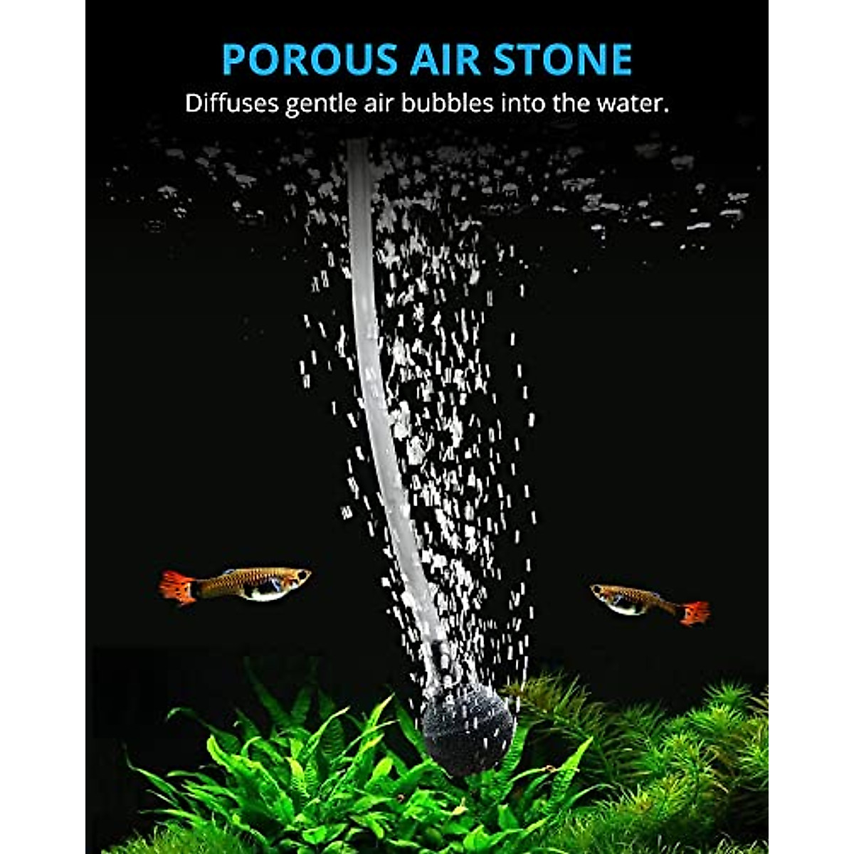 NICREW Nano Silent Aquarium Air Pump, Corded Electric, Aquarium Aerator with Accessories for Up to 10 Gallon Fish Tank, Super Quiet, 0.3 L/min, 1.5 Watts