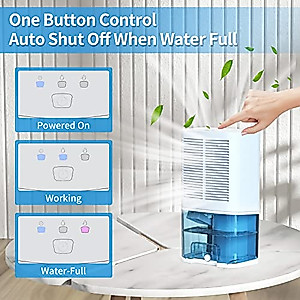 68oz 7900 Cubic Feet（810 Sq.ft）Dehumidifiers for Home Bathroom Room Basements,Quiet Dehumidifier With Drain Hose & Auto Shut Off, Portable Small Dehumidifiers for Bedroom Closet RV