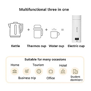 Portable Electric Kettle,Travel Electric Tea Kettle One Cup Hot Water Boiler Mini Kettle Automatic Shut Off, Small Personal Kettle for Travel and Coffee,4 Preset Heat Setting
