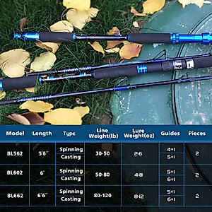 Fiblink Saltwater Fishing Rod Carbon Fiber Jigging Rod with 2 Piece Twin-Tip Spinning & Casting Portable Travel Fishing Jig Rod (Blue 5'6" 30-50lbs 2pcs)