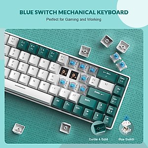 ZIYOU LANG RK-T8PR0 Wired 65% Mechanical Gaming Keyboard and Mouse Combo with RGB LED Backlit Anti-ghosting TKL Mini 68 Key Coiled C to A Cable Tactile Blue Switch for PS4 PS5 Xbox PC Mac Gamer(Green)