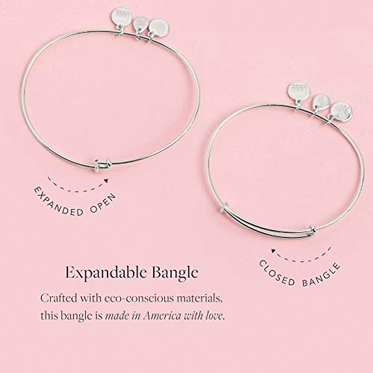Alex and Ani Symbols and Tokens Expandable Bangle for Women, Cardinal Charm, Shiny Silver Finish, 2 to 3.5 in